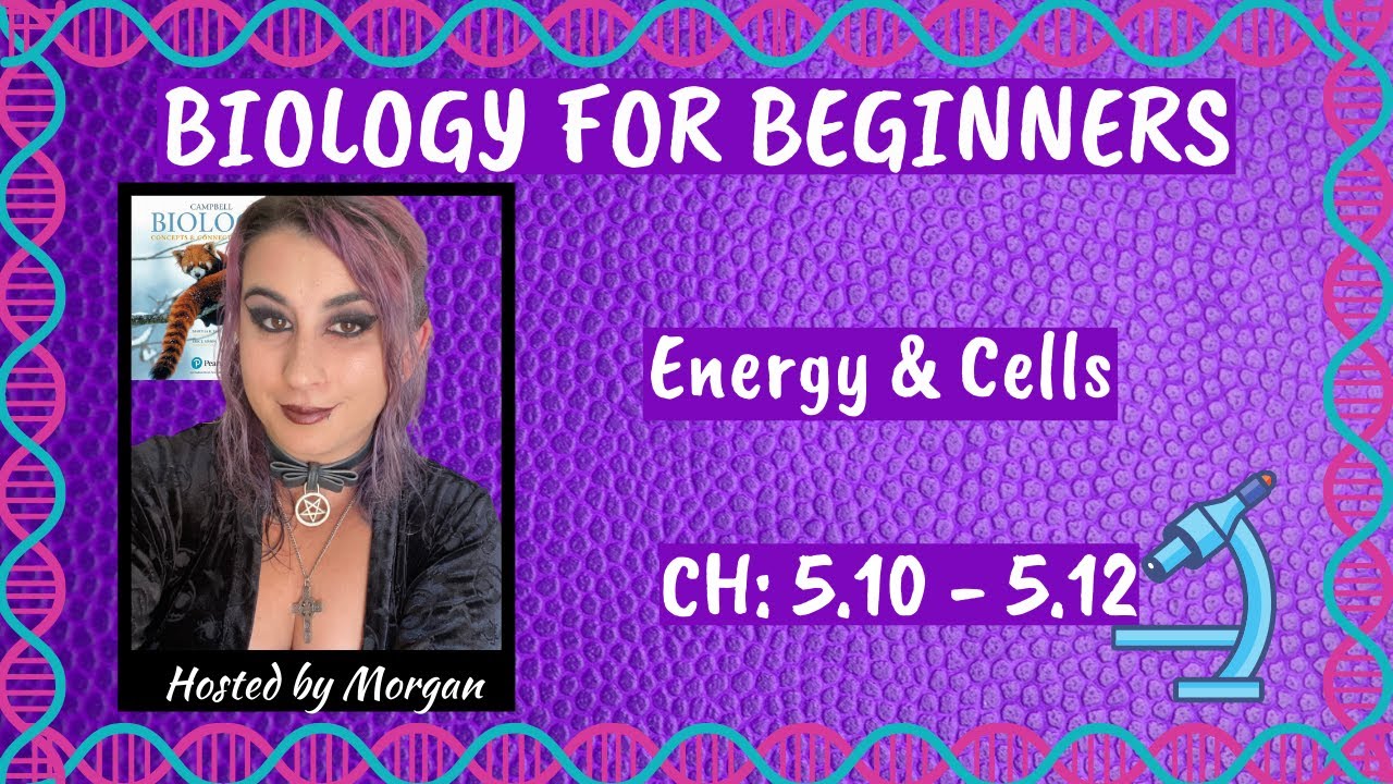 The Basics of Energy and the Cell - Biology for Beginners - YouTube