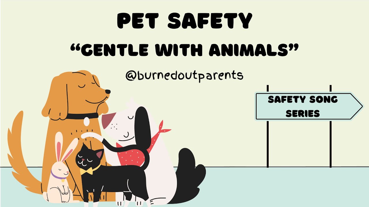 Gentle with Animals | Learn How to Respect and Care for Pets | Fun ...