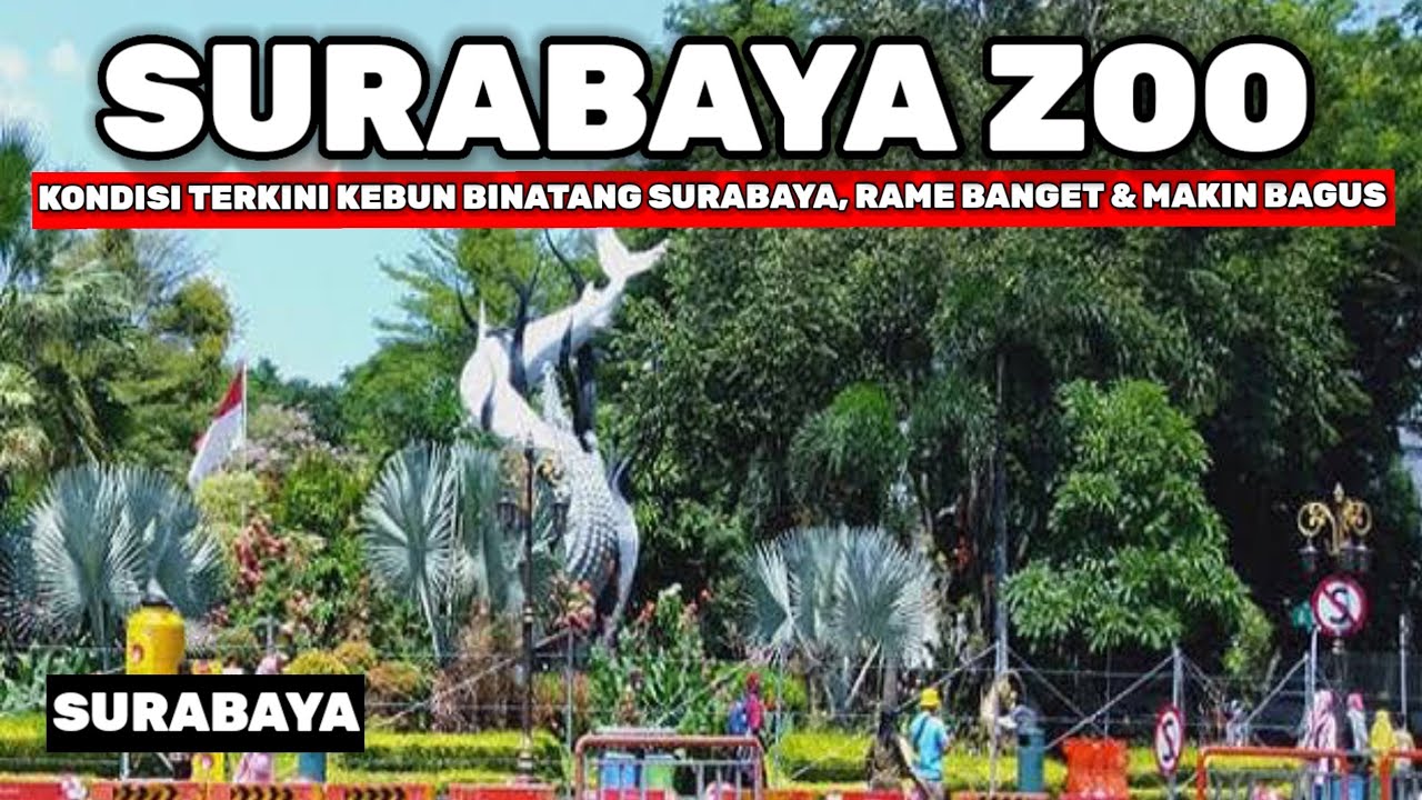 KEBUN BINATANG SURABAYA ZOO KBS - WISATA PALING HITS DI SURABAYA - YouTube