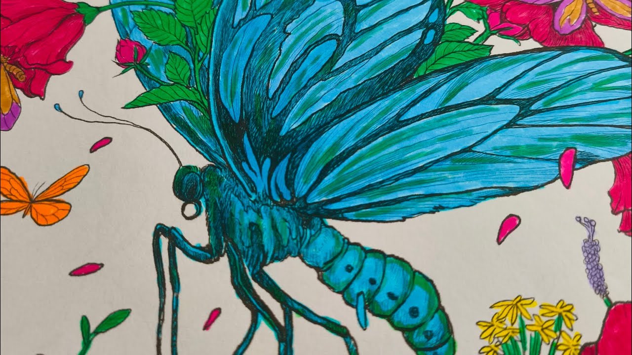 Butterfly Pattern Painting / Coloring Art / Desen Boyama 🦋 - YouTube