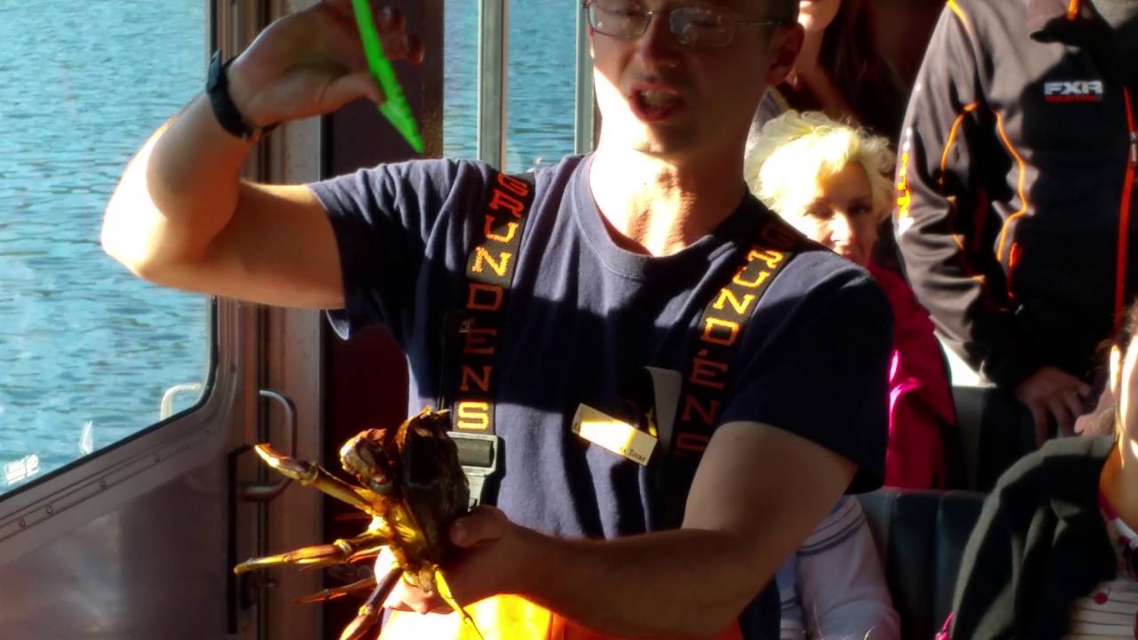 George Inlet Lodge pulling a Dungeness Crab Pot Ketchikan, Alaska - YouTube