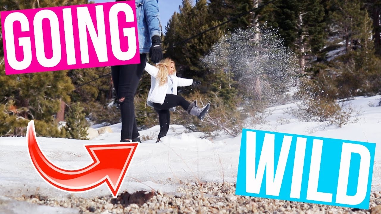 GOING WILD ON VACATION!! Vlogmas Day 23! - YouTube