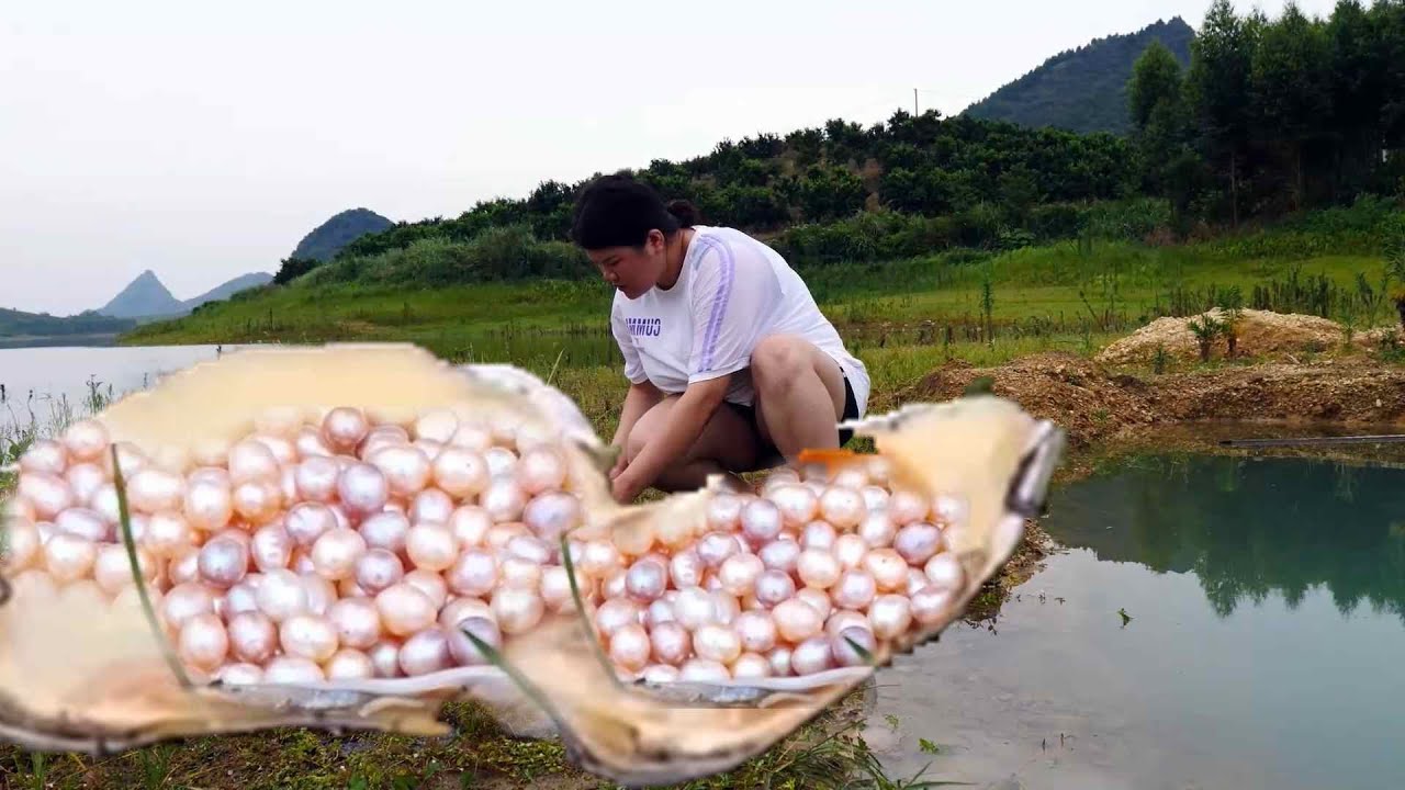 It rained suddenly, and the huge shells growing in the swamp were all ...