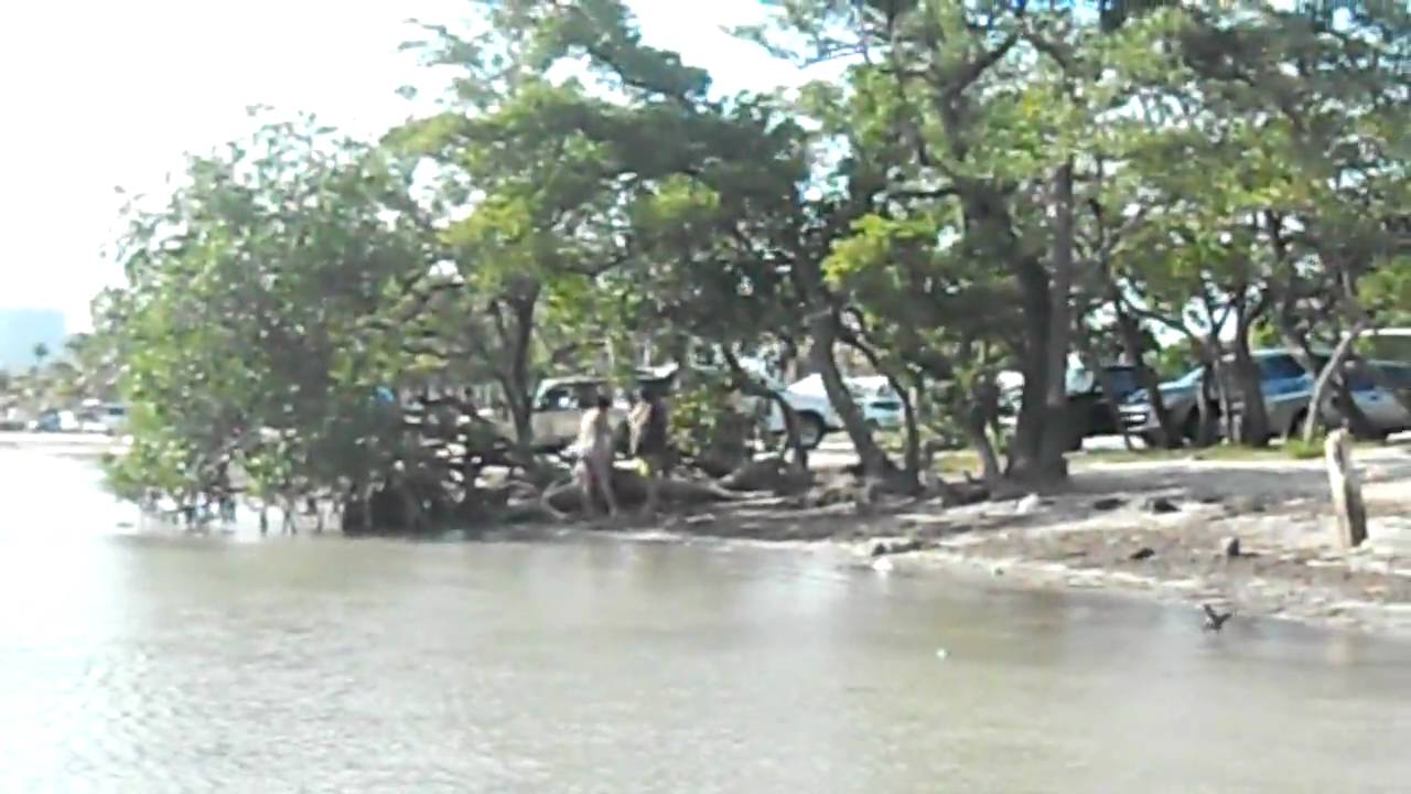 playa de los perros - YouTube