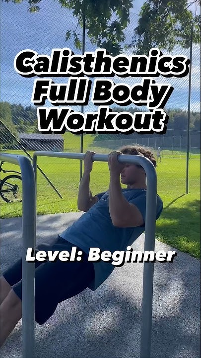Calisthenics Full Body Workout Beginner Youtube