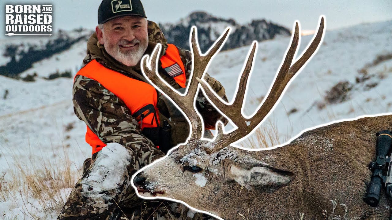 HUGE Montana Mule Deer DOWN!!! - YouTube