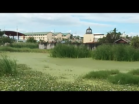 Let's Ride: ALGAE lumot at POND-enjoy watching - YouTube