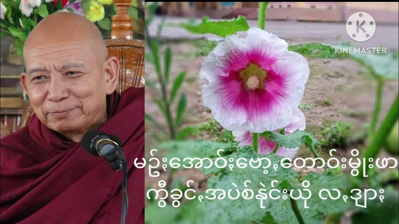 ကန်ႏတော့ꩻမွိုးဖာ အကျိုꩻအာ ဘဒ္ဒန္တဗွေႏကောဝိဒ သီႏသဲင်ႏ Youtube
