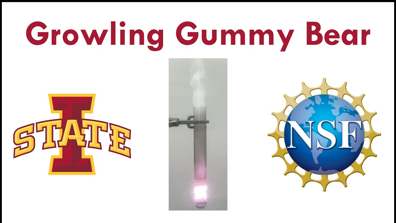 Chemistry Demo - Growling Gummy Bear - YouTube
