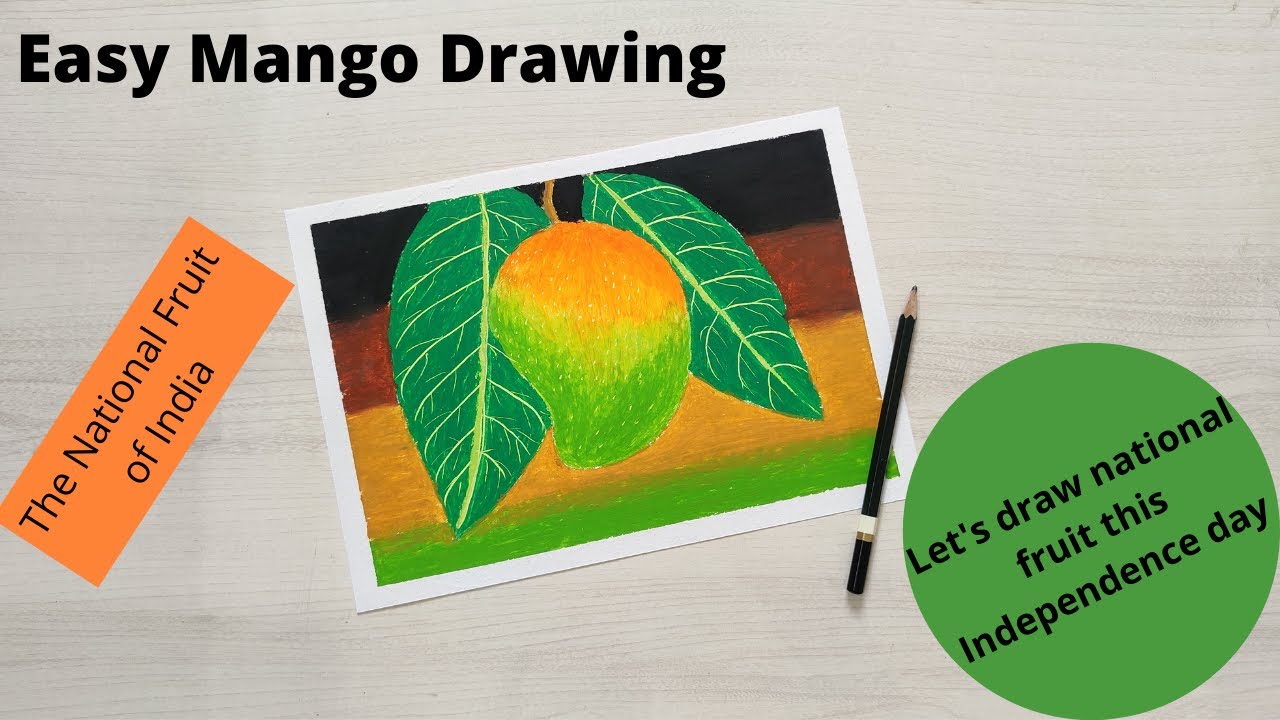 National Fruit Mango Drawing