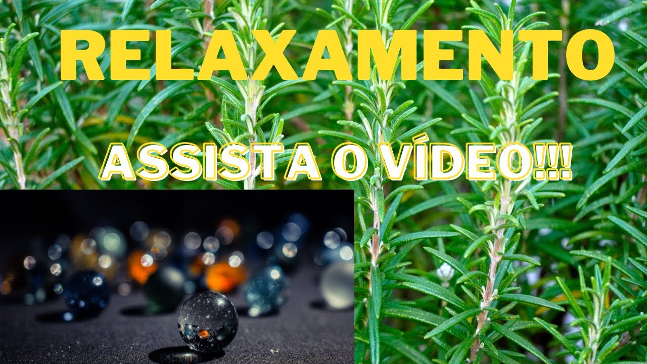Receita caseira de relaxamento utilizando Alecrim e bolinhas de gude ...