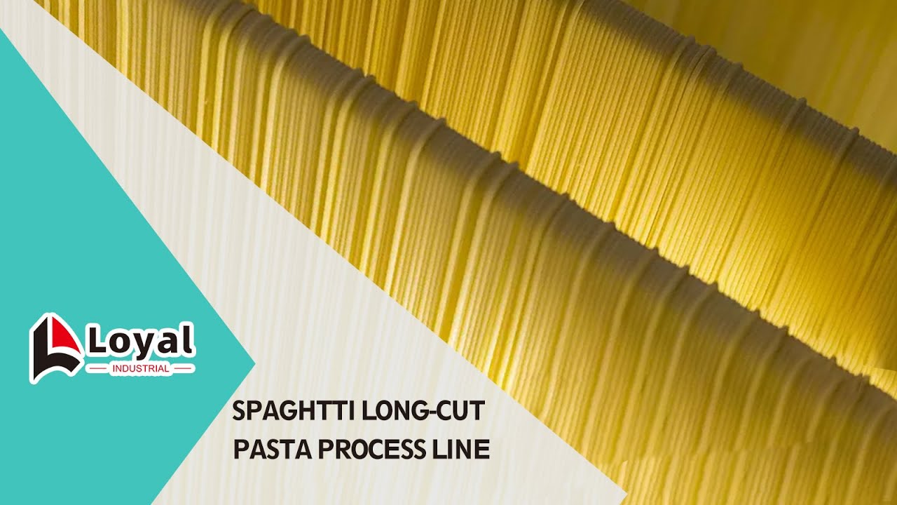 How The Pasta Factory Produces 24 Tons Of Pasta Per Day? Long-cut dry ...