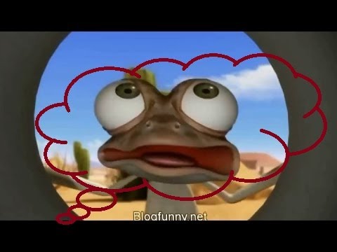 Oscar's Oasis New 2016 Compilation- Chicken Charmer [720P] - YouTube
