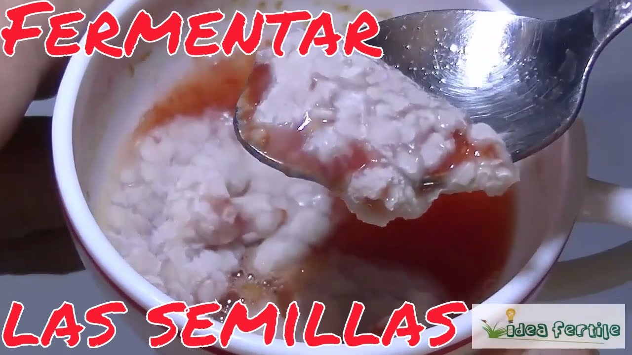 Fermentar las semillas de tomate para conservaciòn optimal - YouTube
