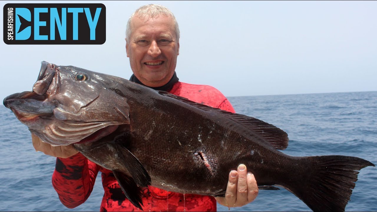 Badéche à 35m en Chasse sous-marine au Sénégal 2019 - YouTube