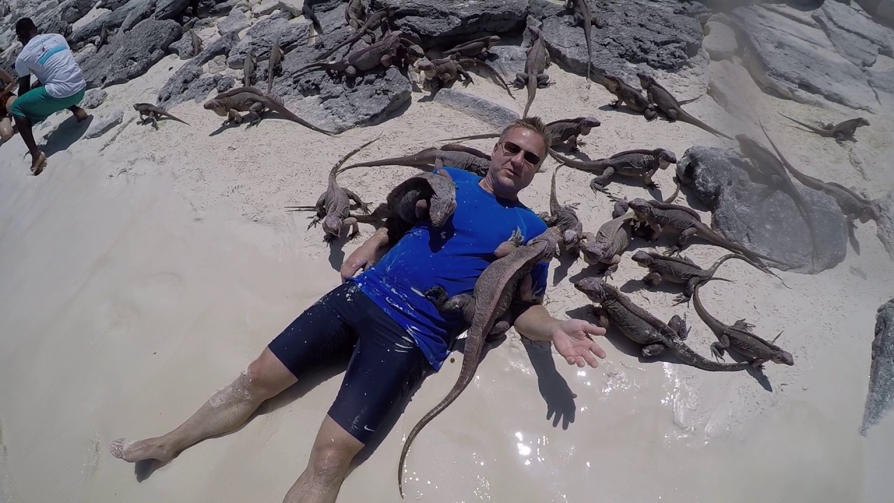 Exuma, iguana island - YouTube