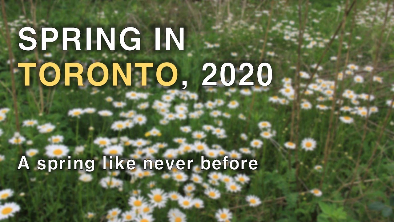 Spring in Toronto, 2020 in 3 minutes - YouTube