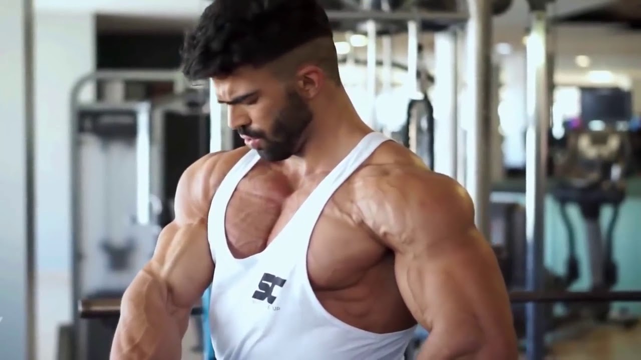 Sergi Constance How to get Big shredded chest & triceps workout !! New ...