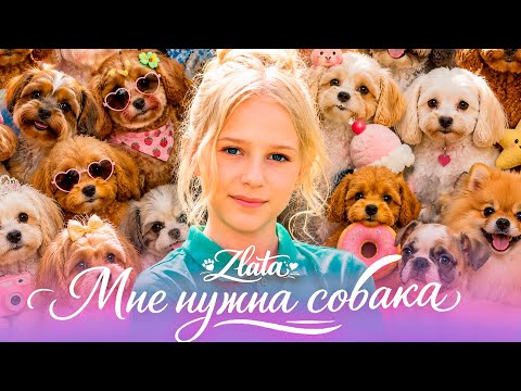 ЗЛАТА - МНЕ НУЖНА СОБАКА (Премьера клипа 2026)