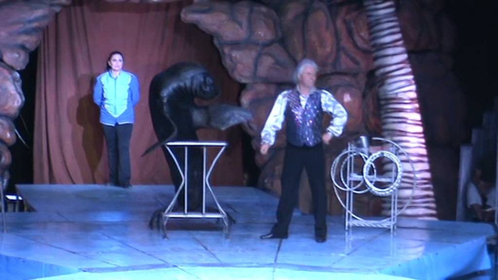 Gary Jahn and Andrew cirque sur l'eau - YouTube