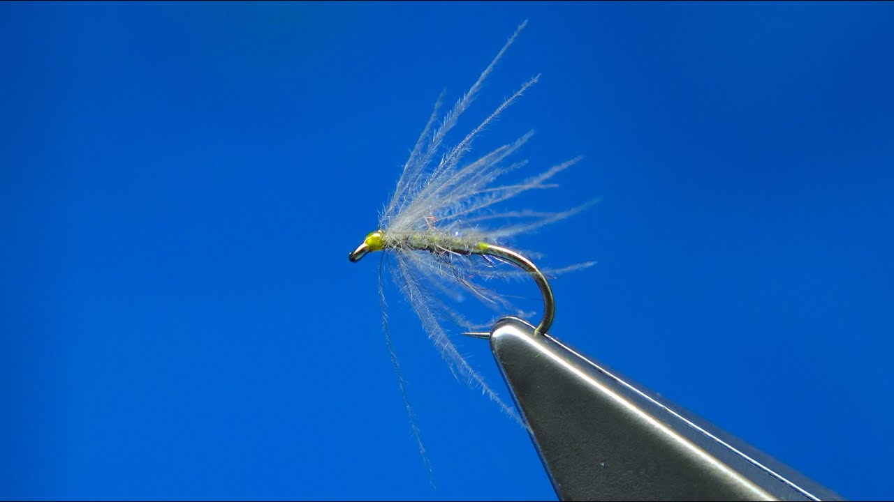 Tying a CDC Waterhen Bloa (Soft Hackle Wet Fly) with Davie McPhail ...