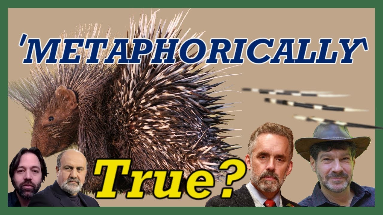 What Is Metaphorical Truth YouTube What Is Metaphorical Truth YouTube