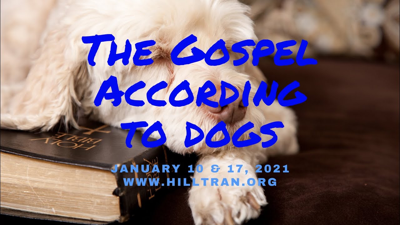 The Gospel According To Dogs Part I (Full Service Live at TUMC) - YouTube