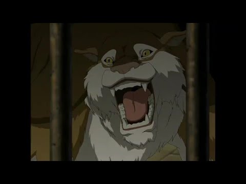 Avatar the Last Airbender - The Zoo - YouTube