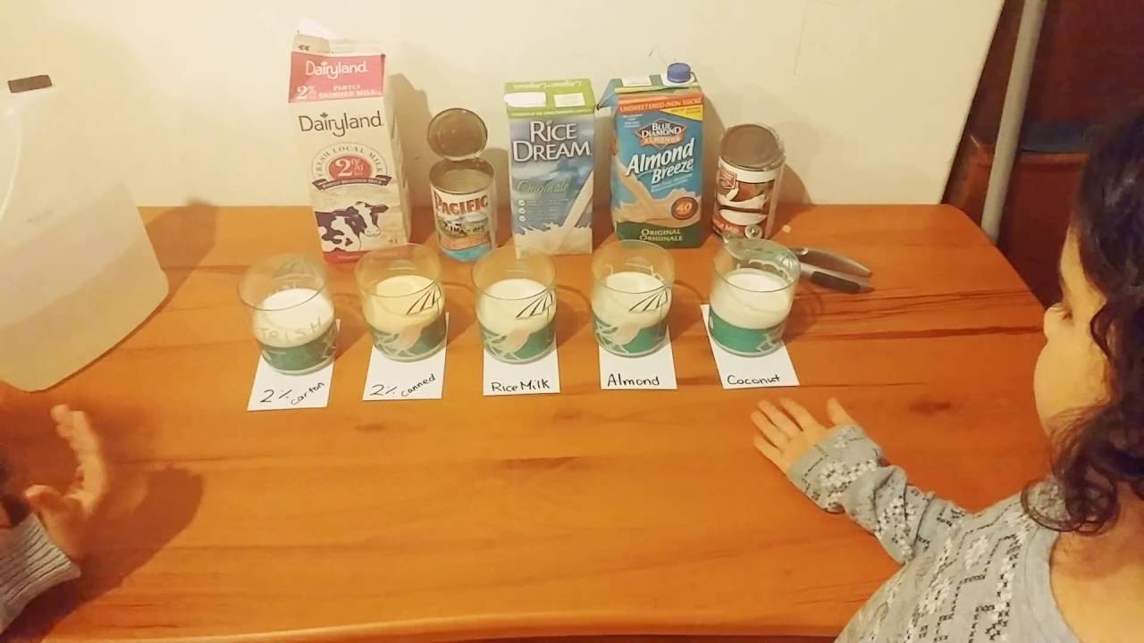 Milk Polymer Science Project - YouTube