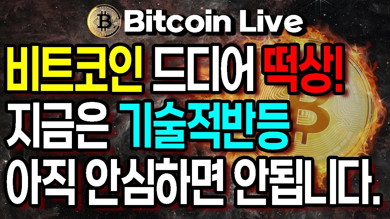 실시간 비트코인 드디어 떡상 지금은 기술적 반등 아직 안심하긴 이릅니다 지금부터 중요 3월13일 오전 라이브 비트코인