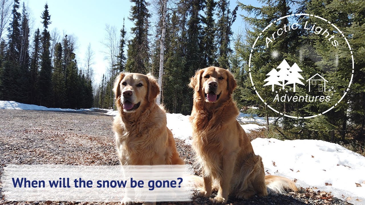When will the snow be gone? - YouTube
