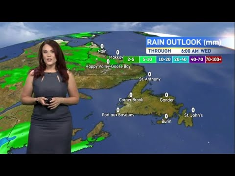 The Weather With Brianne Foley July 23 2024 (CTV Atlantic) - YouTube