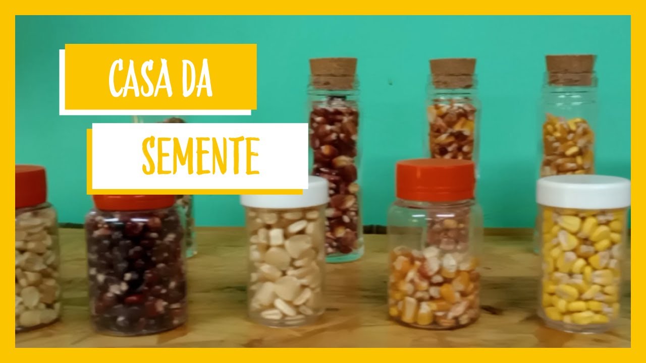 GUARDIÕES DA SEMENTE CRIOULA | Casa da Semente - YouTube