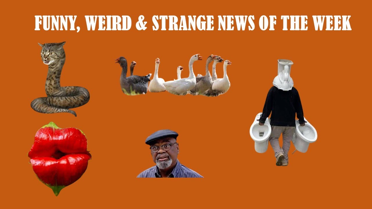 Funny, Weird , strange, bizarre ,unbelievable news of the week-01 - YouTube