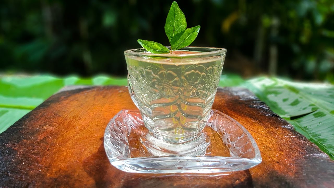 Curry Leaves Tea | Hair Growth Healthy Tea - YouTube