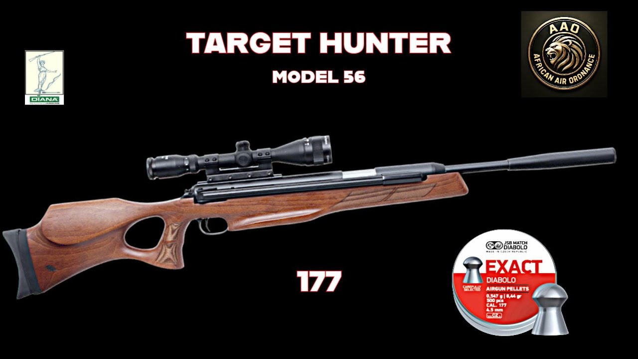 Diana Target Hunter: Insane 45-Yard Accuracy Test with JSB 8.44gr ...