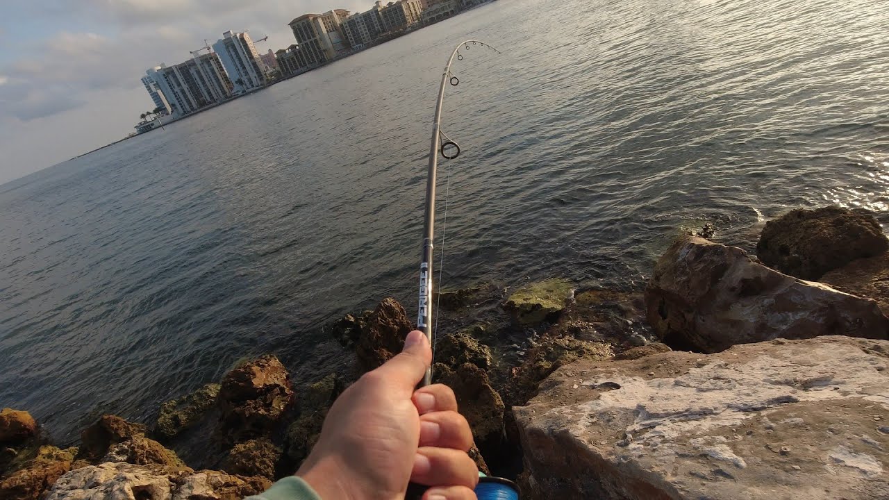 The First Cast - Hooked on to a Huge Snook - YouTube
