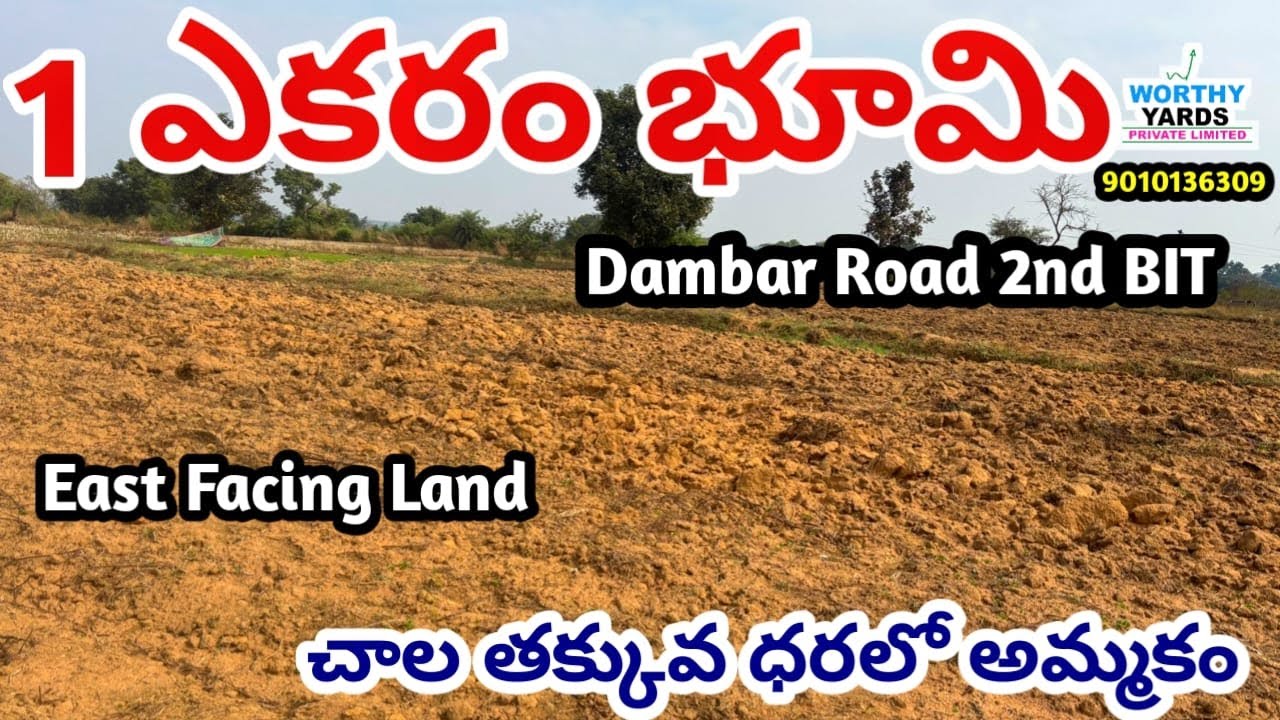 Agriculture Land For Sale | Dambar Road 2nd BIT |#agriculturelands # ...