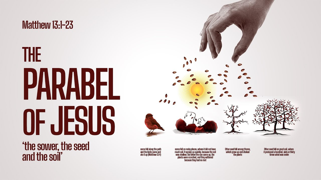 The Parable Of Jesus: the sower, the seed and the soil. - YouTube