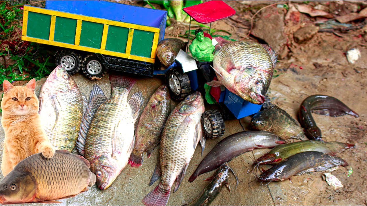 Catch fish using mini water pump | fishing exciting | diy tractor ...