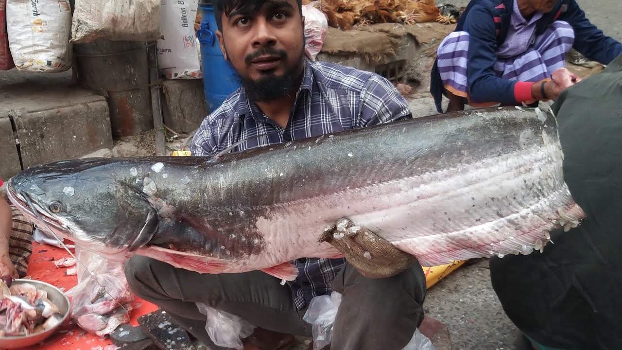 Amazing Fish Cutting Skills.10kg+ Big Boal Fish Cutting Skills In Bangladeshi Fish Market,Dhaka ...