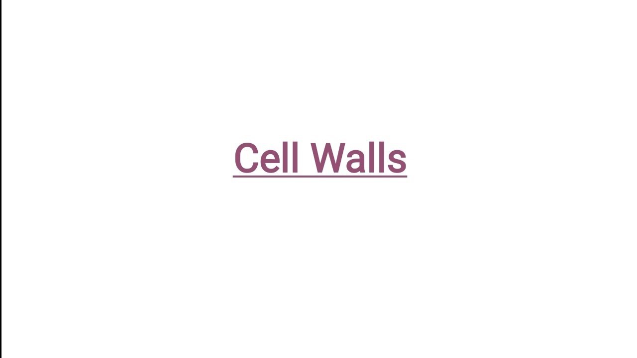 Cell Wall I Full Detail I BS Botany I Presentation I @SlideShare_PPT ...