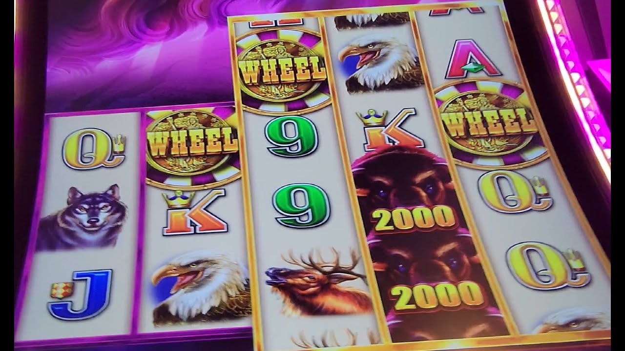Wild Wild Buffalo Slot Wild Run!! Aristocrat Game - YouTube