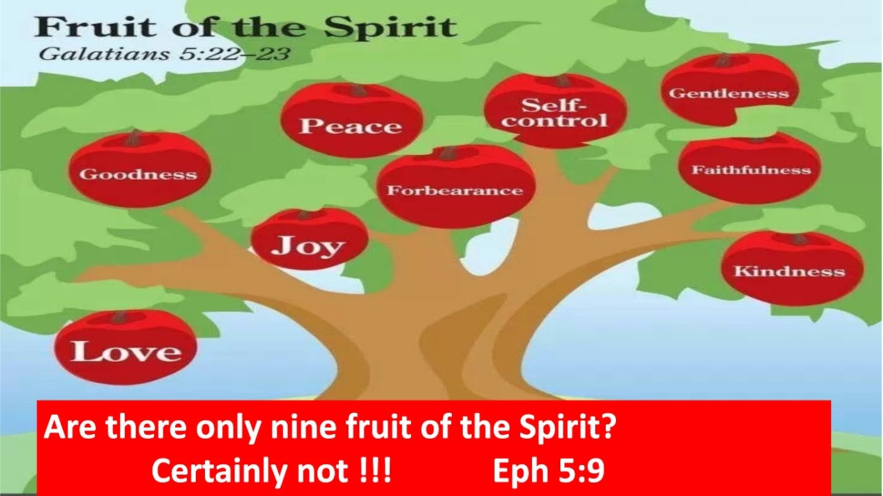 The fruit of the Spirit are they only nine (9)?.....(featuring little ...