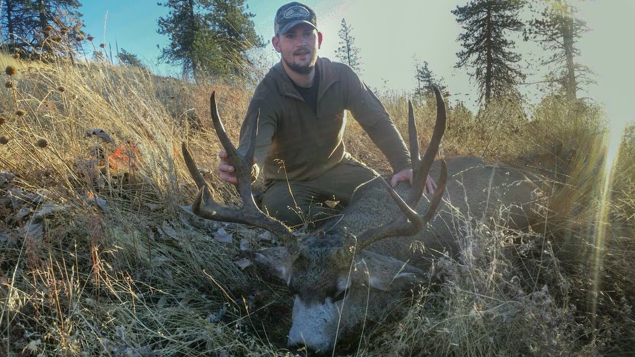 Darktimber’s 170' mule deer Vlogcast ep 01 - YouTube