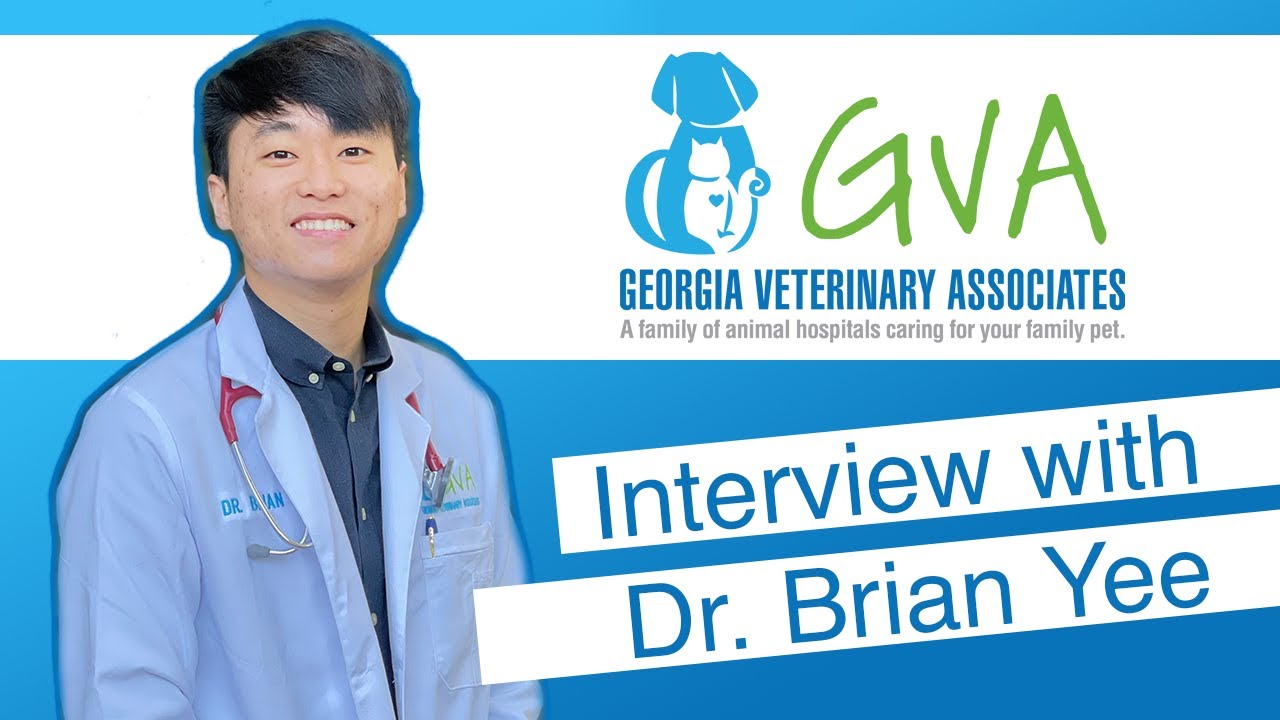 Get to Know: Dr. Brian Yee - YouTube