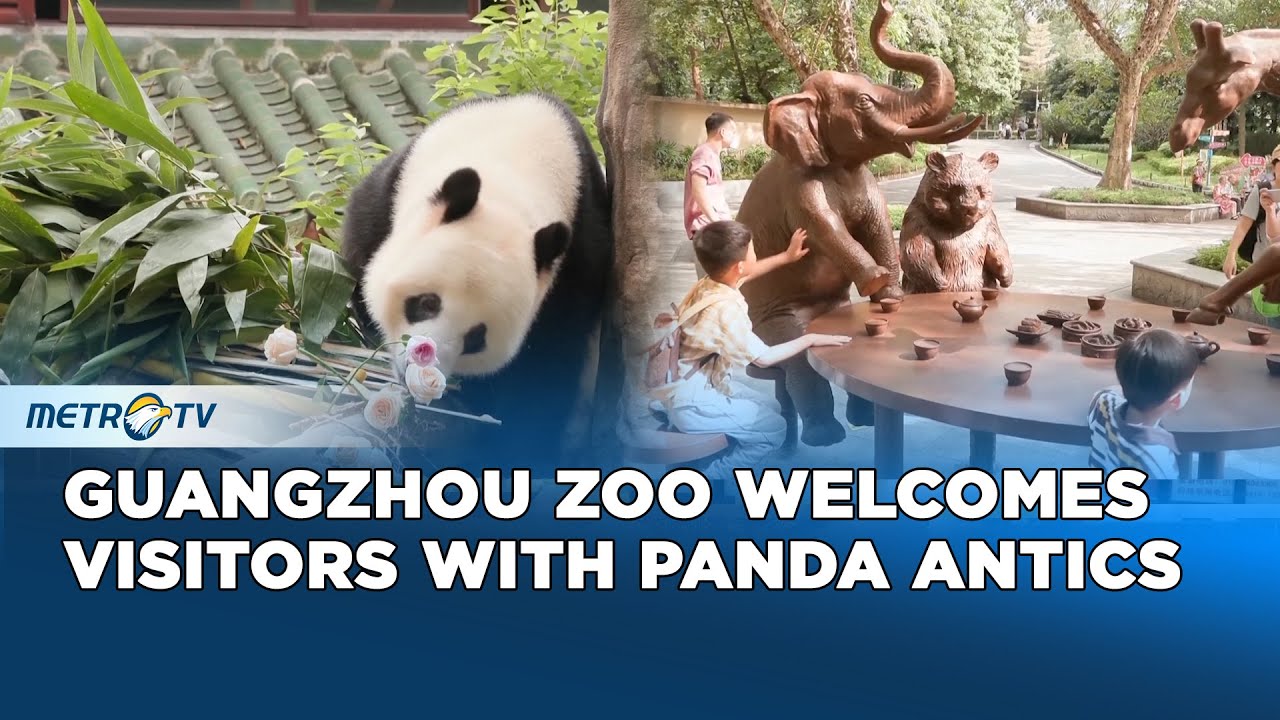 Guangzhou Zoo Prepares Exciting Animal Activities Ahead of National Day ...