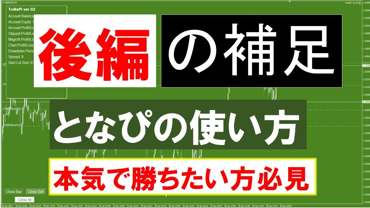 補足→基本編【後編】ToNaPi（となぴ）使い方 #fx #ea #自動売買 - YouTube