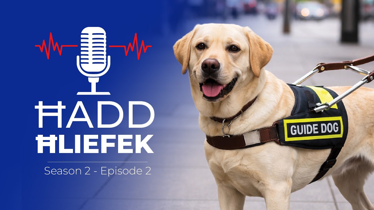 Ħadd Ħliefek | Guide Dogs - Ft. John Tonna & Joseph Vella - Season 2 ...