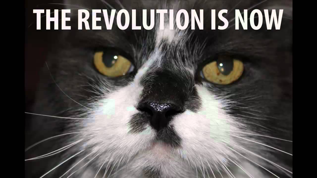 The Revolution is now - YouTube